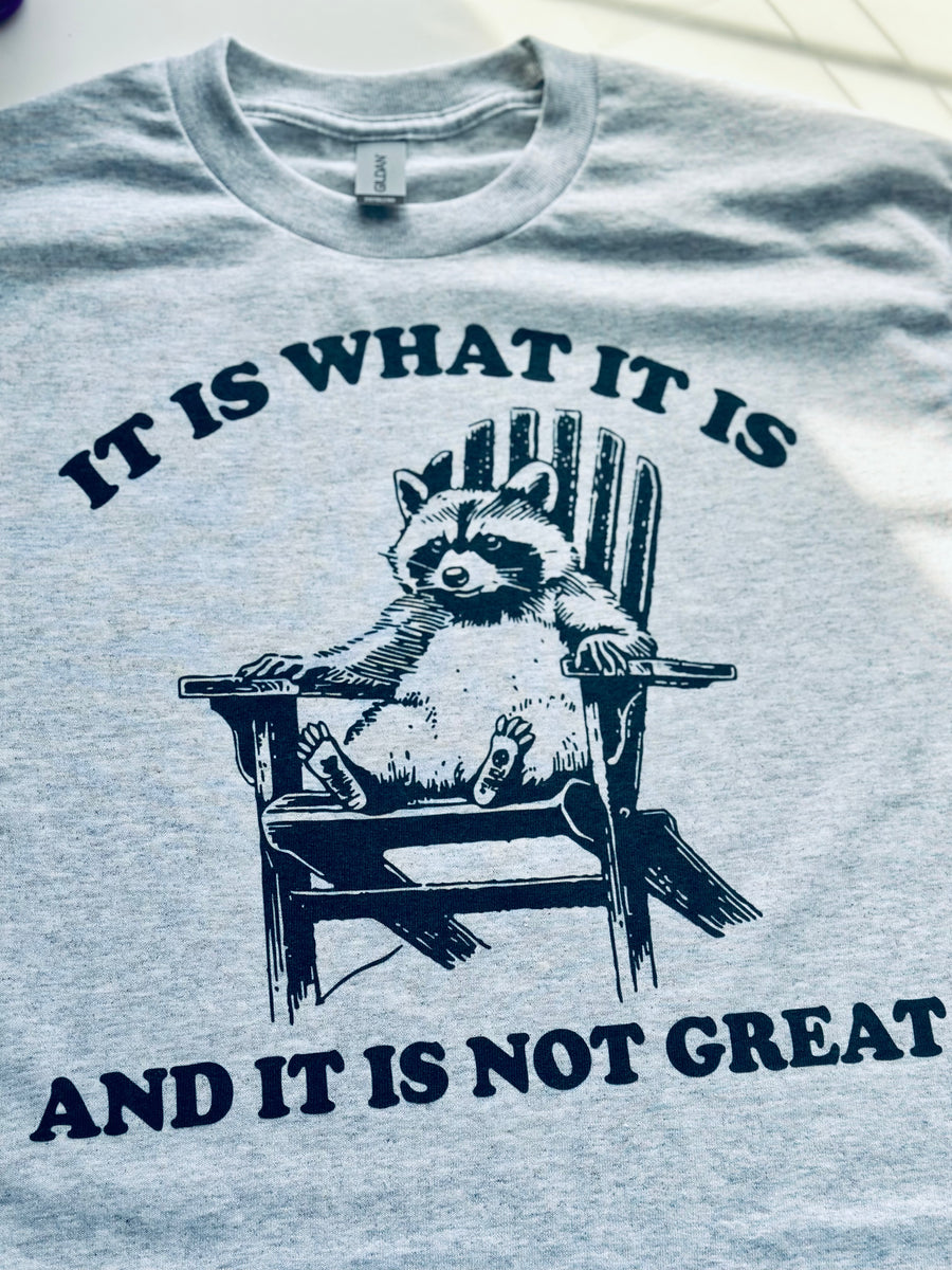 It Is What It Is And Its Not Great Tee – Shop 1989 Co.
